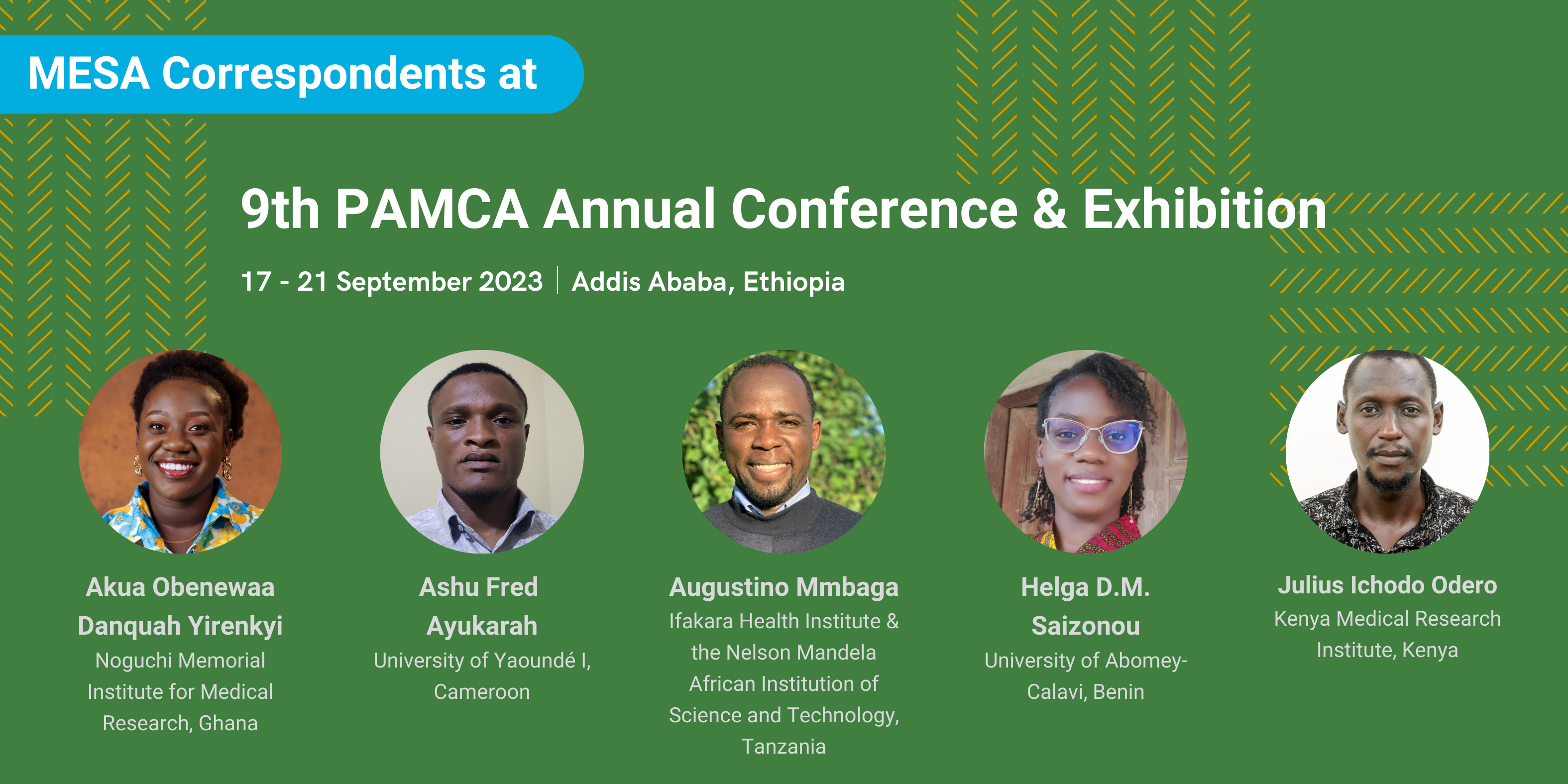 Published: 13 September 2023 01:04